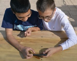 Best Multiplayer Mobile Games for Families