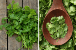 Best Substitutes for Thai Basil