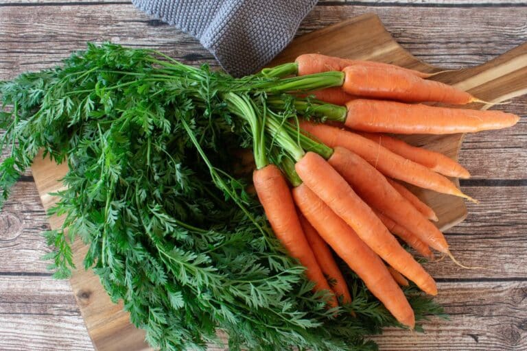 Parsley Alternatives: 8 Substitutes You Should Try