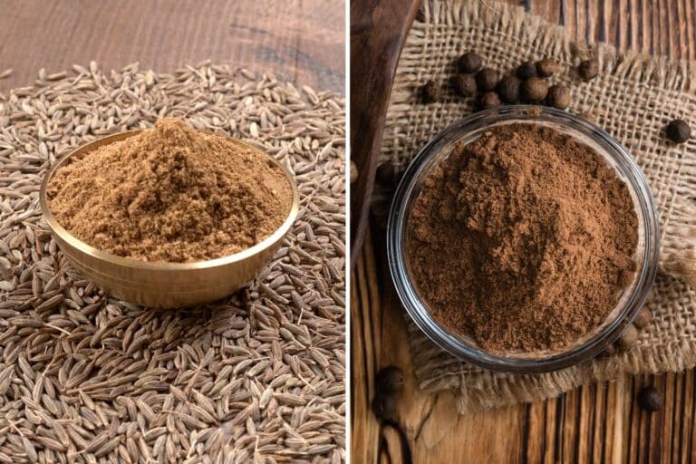 9 Substitutes for Curry Powder
