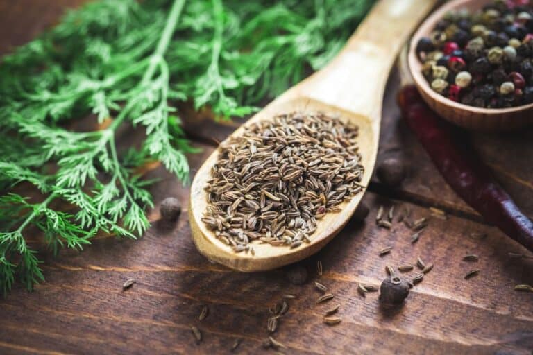 11 Best Substitutes for Caraway Seeds